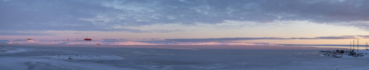 ArcticEID - community-based wildlife surveillance - CINUK